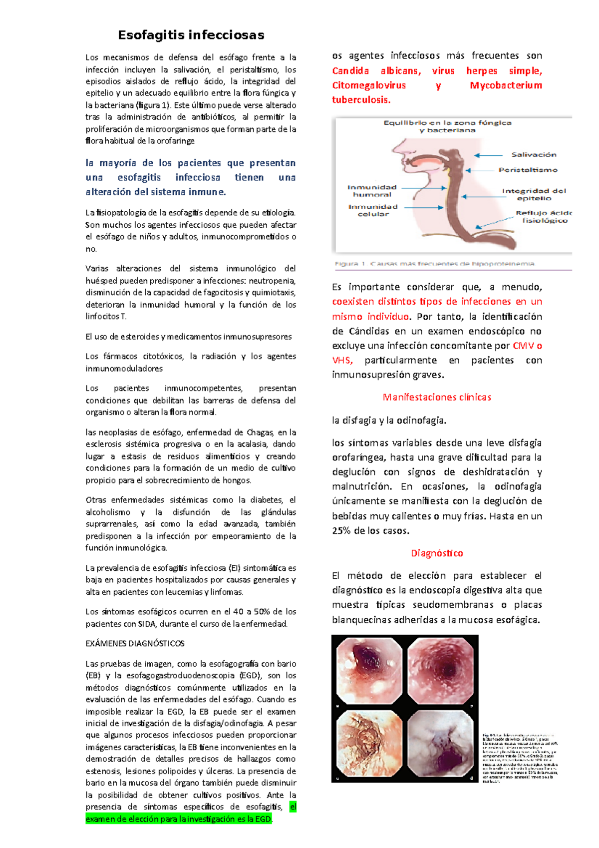 Esofagitis infecciosas - Este último puede verse alterado tras la ...