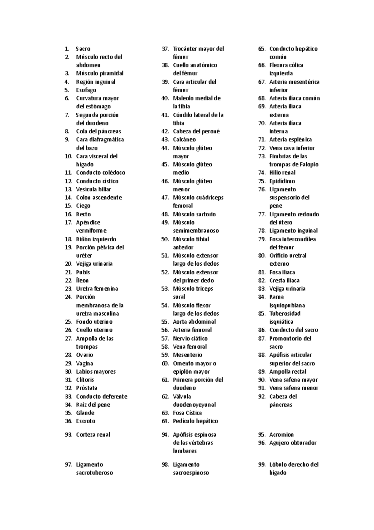 Identificaciones anatomia 2 - Sacro Músculo recto del abdomen Músculo ...