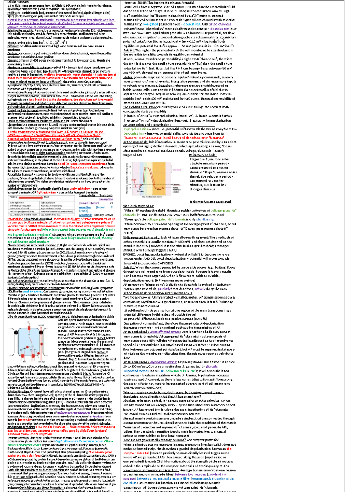 BIO cheat sheet - Summary Concepts of Biology - Cellular Processes: 1 ...