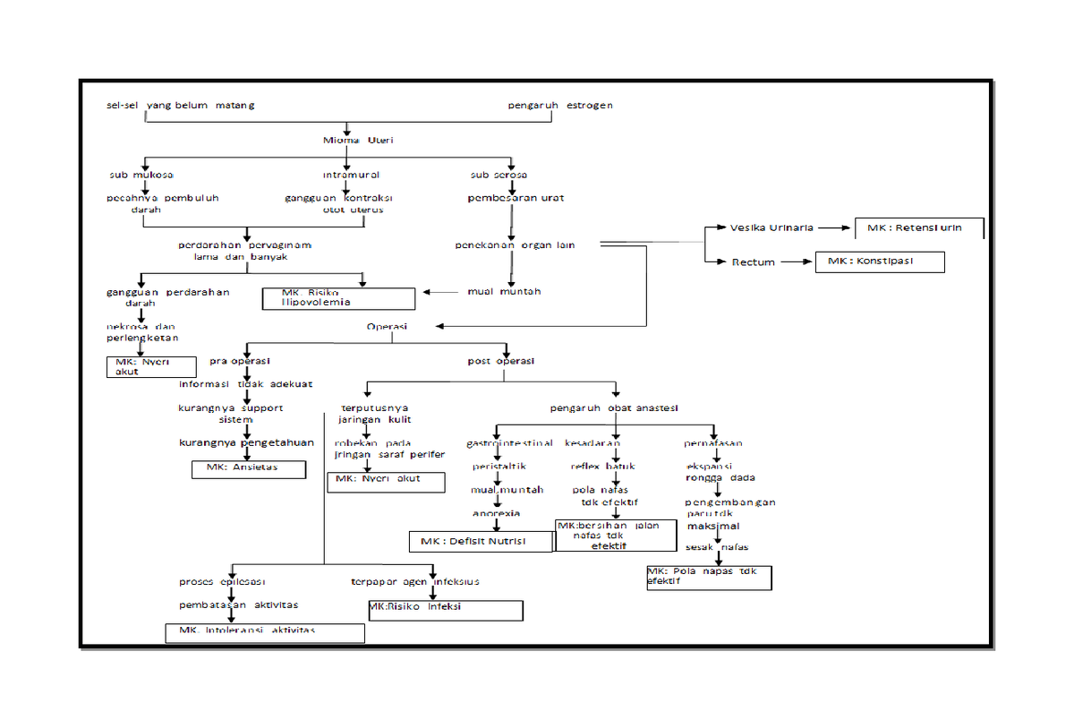 WOC Mioma Uteri - Evidence Based Practice In Nursing - Studocu