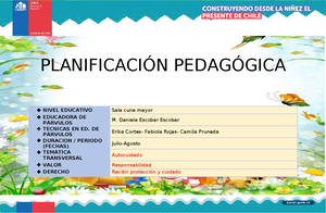 Formato PAEC-MI ejemplo - PAEC-MI (Plan de Acompañamiento Emocional y ...