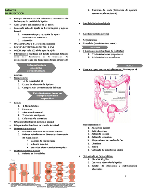 Glinidas: farmacocinética, farmacodinamía y administración - GLINIDAS ...