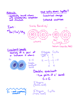 Lab #9 BIOs Form - Bio lab - BiOs Form Outlines, Outcomes, Organizers ...
