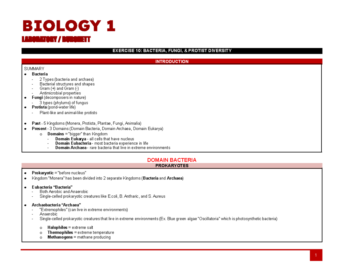 BIO1 LAB10 - BIOLOGY 1 LABORATORY / BURCHETT EXERCISE 10: BACTERIA ...