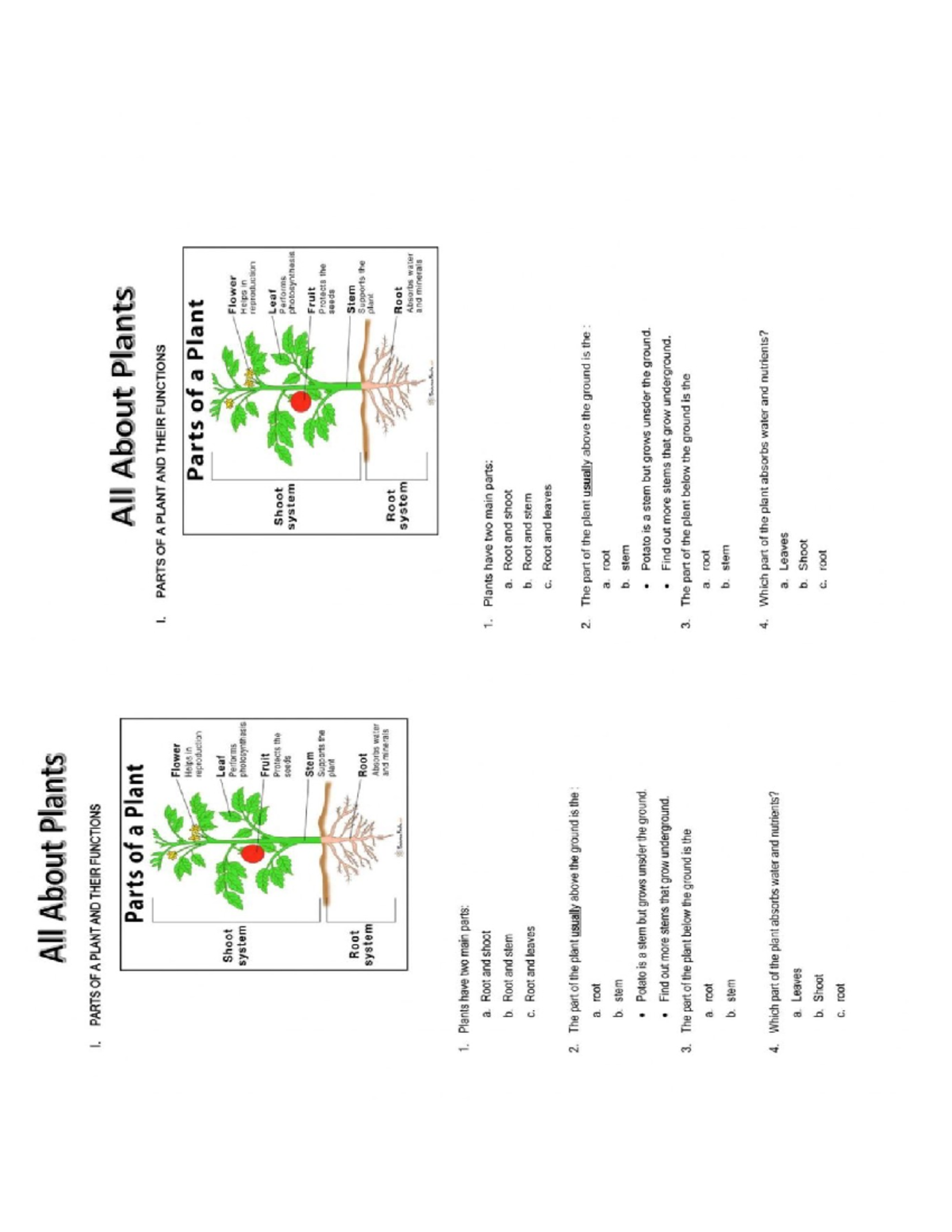 Assessment - Elementary Education - Studocu