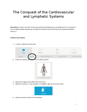 Week 1 Anatomage Table - Introduction to the Anatomage Table Team ...