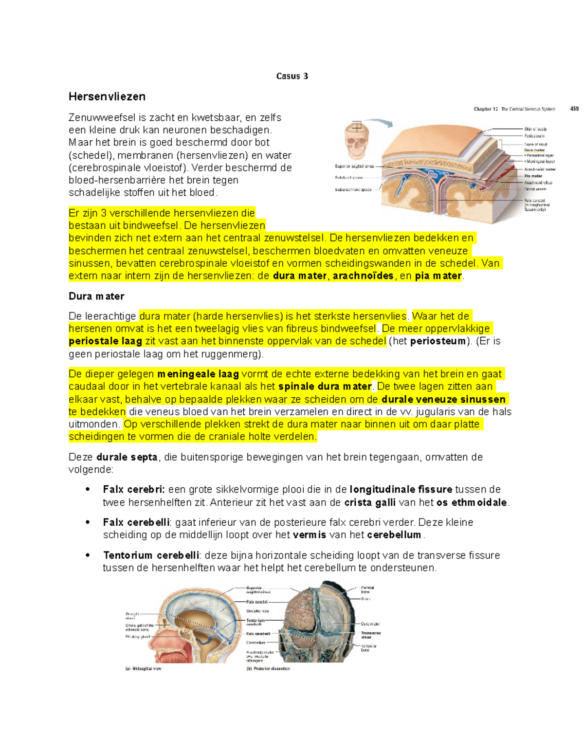 1 4 Casus 3 Samenvatting Casus 3 Hersenvliezen Zenuwweefsel Is