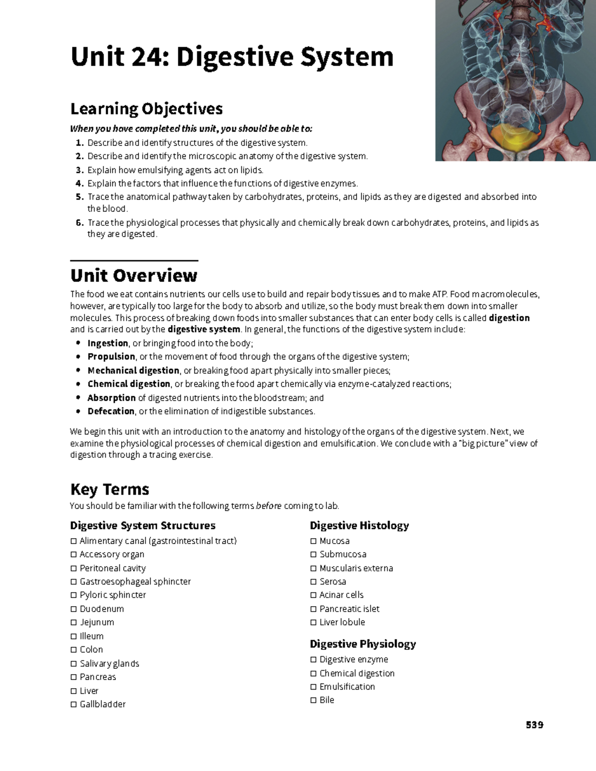 Unit 24-Digestive System - Unit 24: Digestive System Learning ...