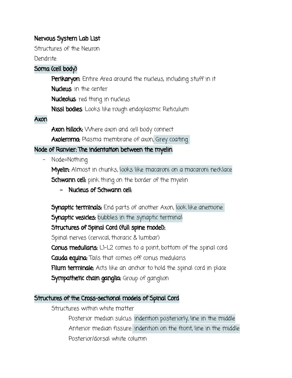 Nervous system Lab - This was from a lab class for anatomy and ...