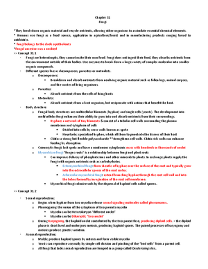 Final Exam Study Guide - PHIL 1381:“Introduction to Philosophy” Chapter ...