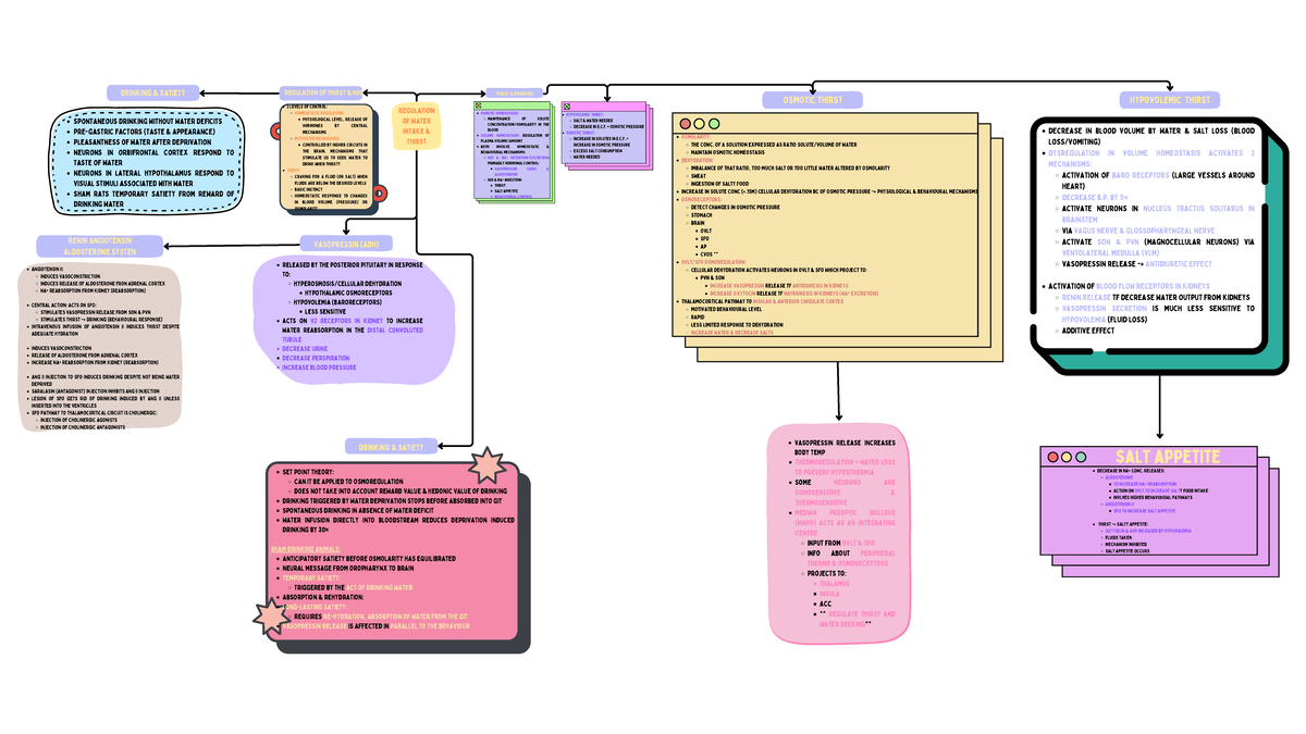 AN3003 L4 Regulation of Water Intake & Thirst - 2 levels of control ...
