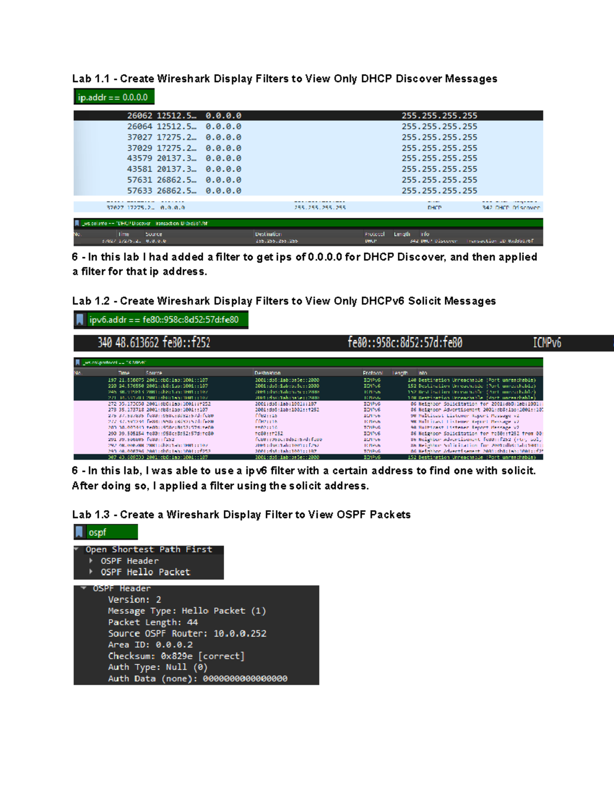 Capstone Lab 1 - yeah - Lab 1 - Create Wireshark Display Filters to View Only DHCP Discover ...