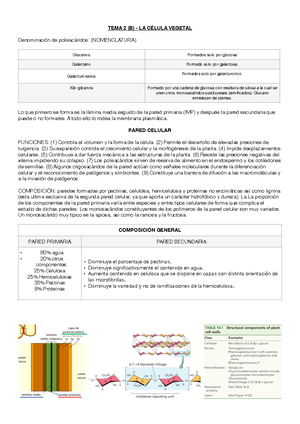 T1 - Introducción - TEMA 1: INTRODUCCIÓN A LA FISIOLOGÍA VEGETAL ¿QUÉ ...
