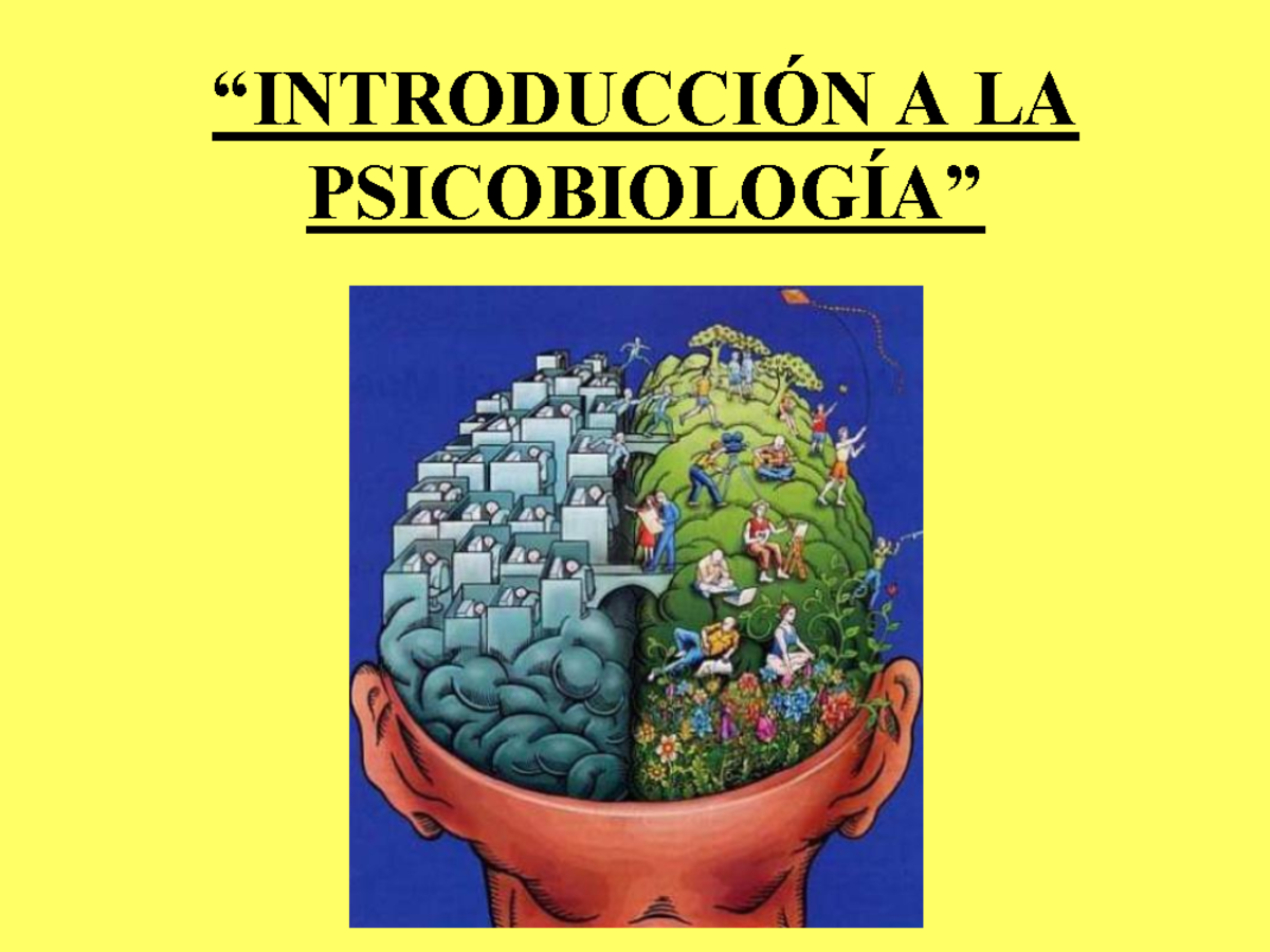 INTRODUCCION A LA PSICOBIOLOGIA - A LA es el estudio de la del ...