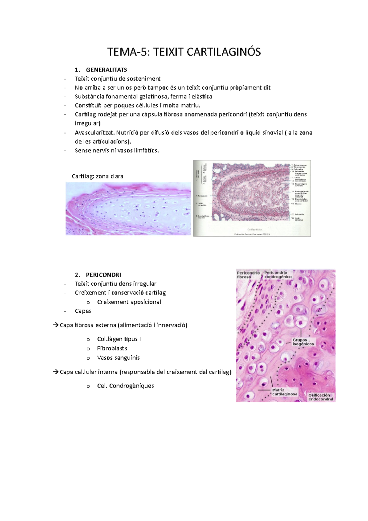 TEMA 5 - teixit cartilaginos - TEMA-5: TEIXIT CARTILAGINÓS 1 ...
