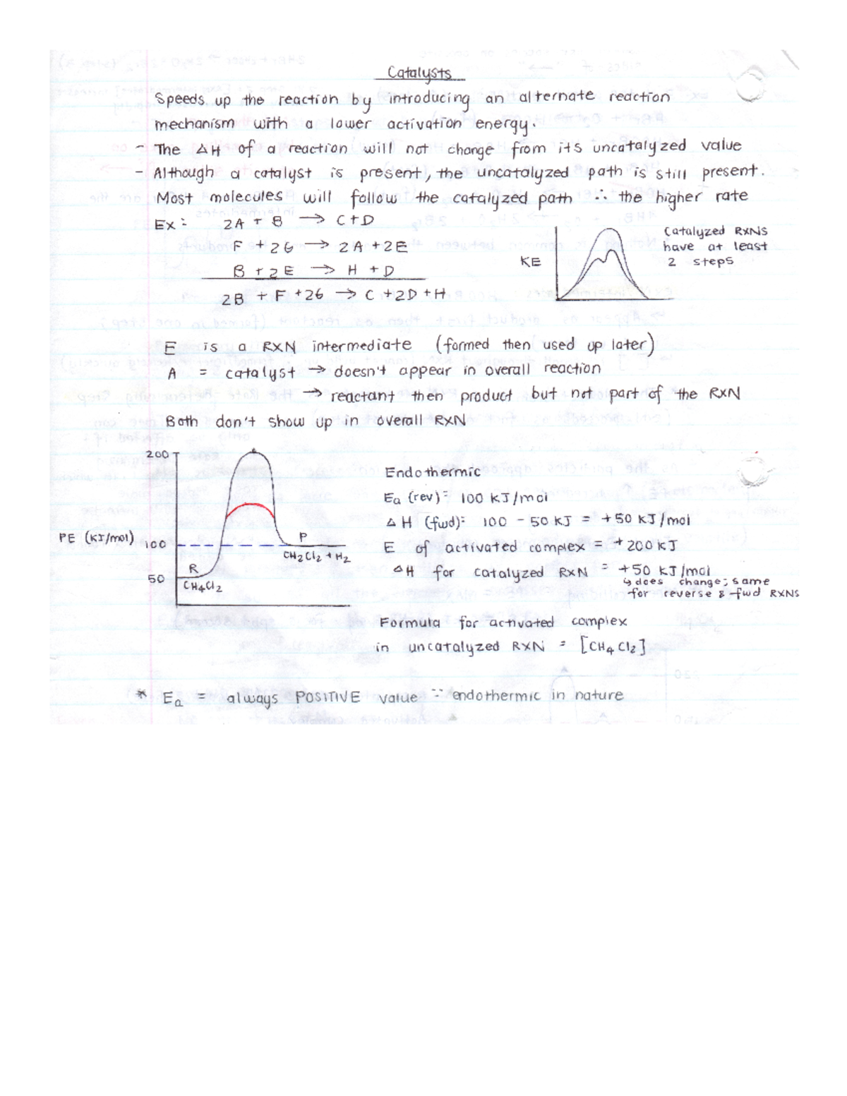 5-Lab 3: Introduction to your team Lab 3: Introduction to your team Lab ...