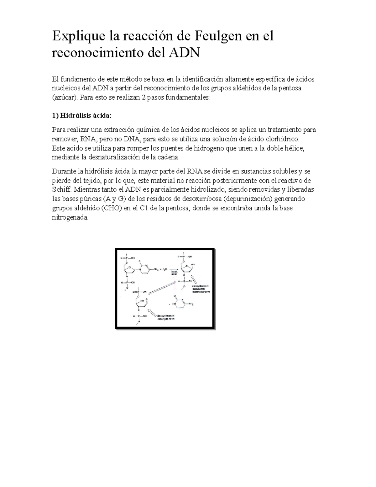 La reacción de Feulgen en el reconocimiento del ADN - Explique la ...