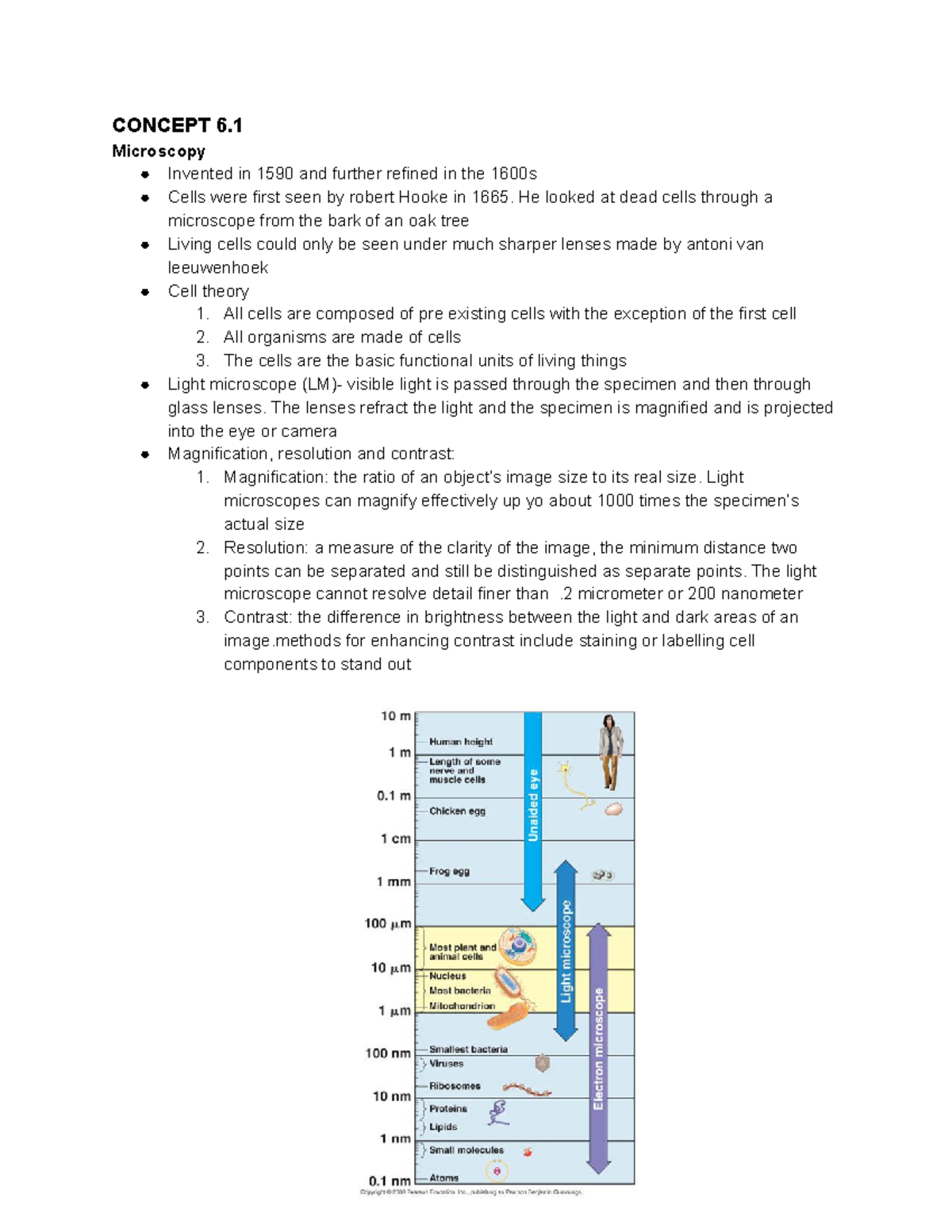 Chapter 6-2 - microscopy - CONCEPT 6. Microscopy Invented in 1590 and ...