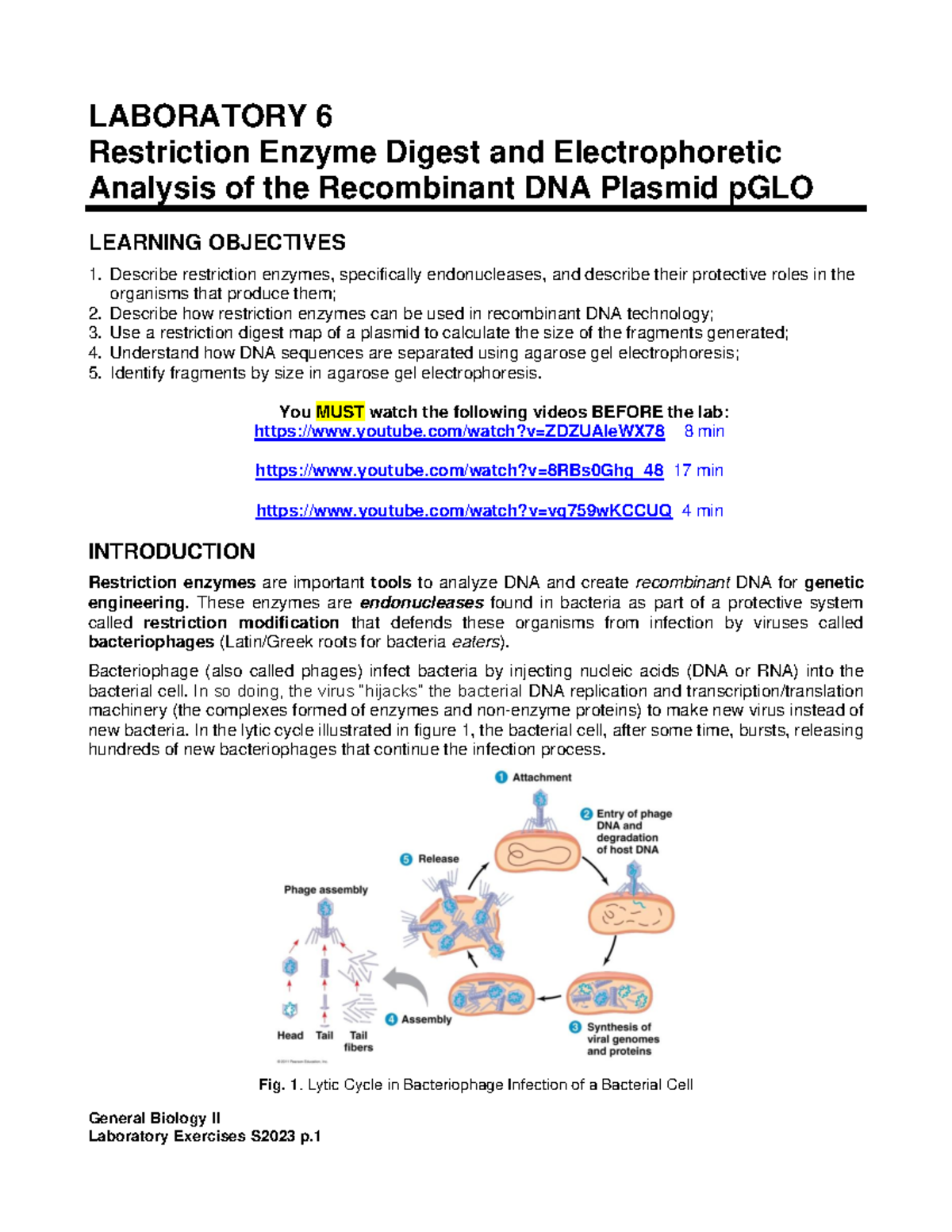 Lab 6 Restriction Enzyme Digest - General Biology II Laboratory ...