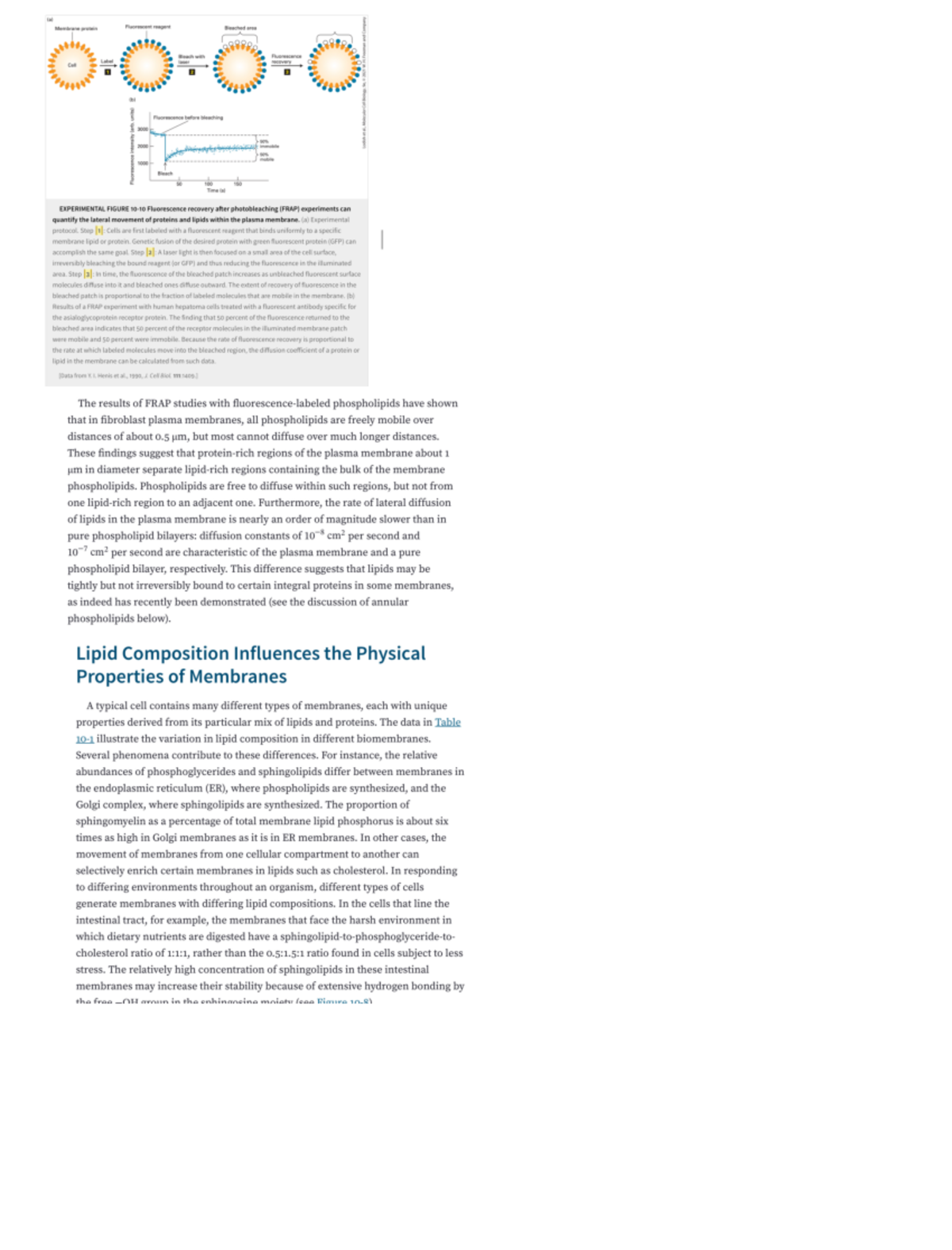Note 30 Jul 2024 - Notes - Membrane protein Fluorescent reagent ...