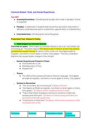 Band 6 “Past The Shallows” HSC Essay - Human experiences are varied and ...