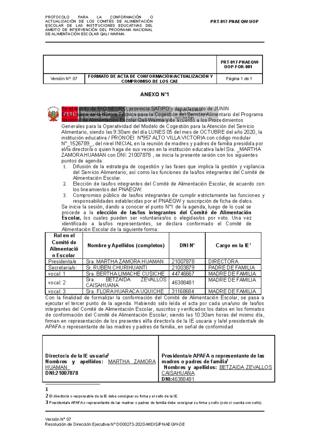 0 Ficial Protocolo CAE Anexos Editables - LIZACIÓN DE LOS COMITÉS DE ALIMENTACIÓN ESCOLAR DE LAS ...