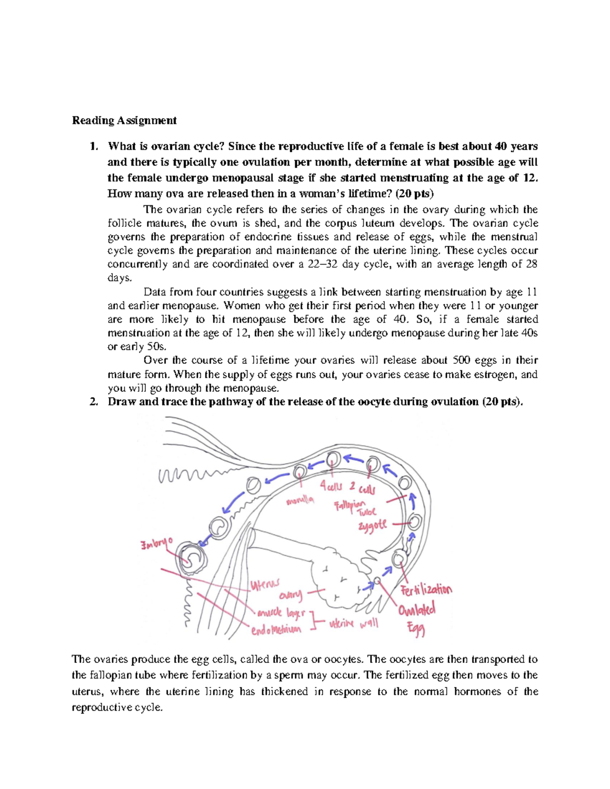 Developmental Biology - Activity 3 - Fertilization - Bangah, Ezekiel ...