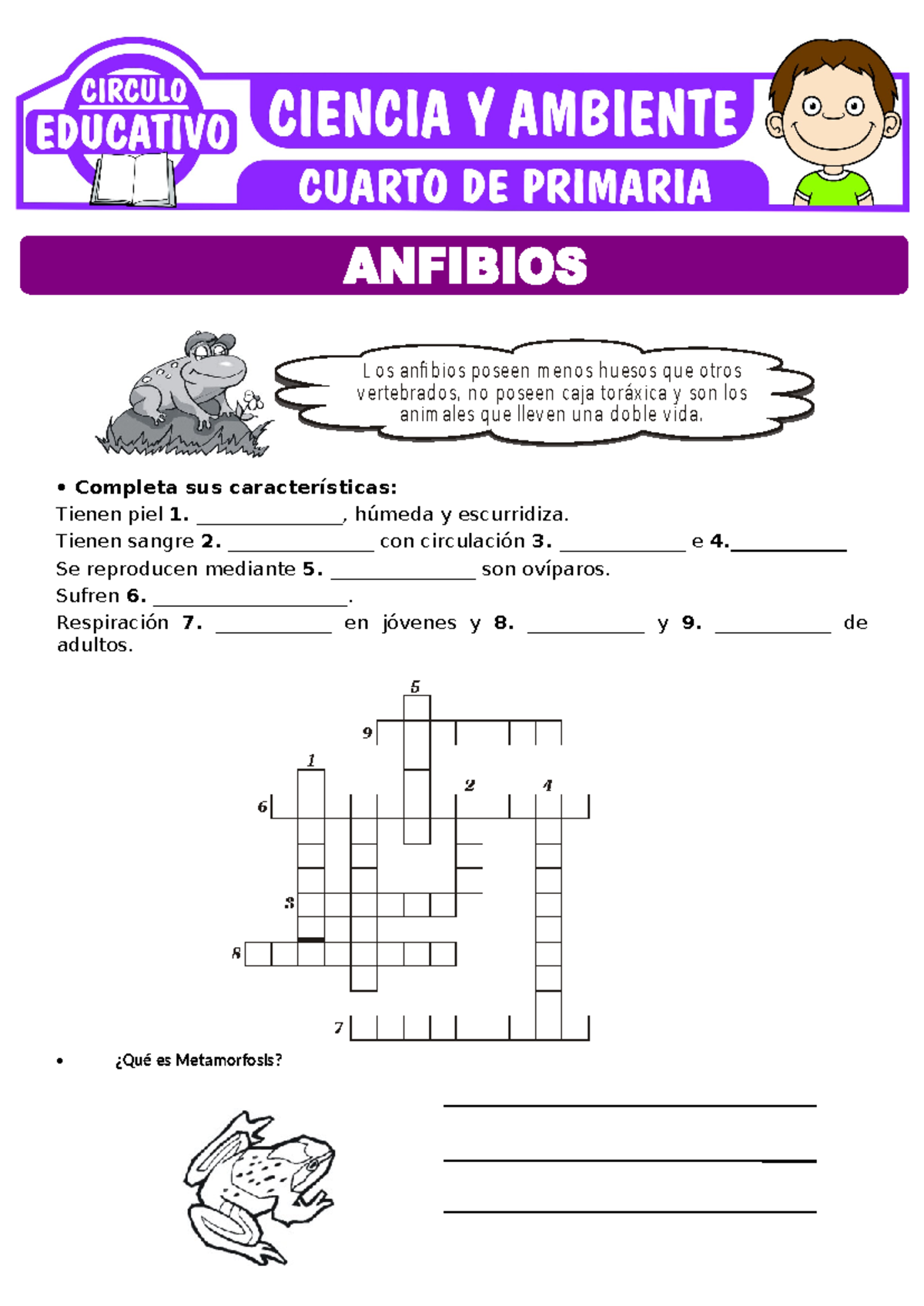 Anfibios-para-Cuarto-de-Primaria - • Completa sus características ...