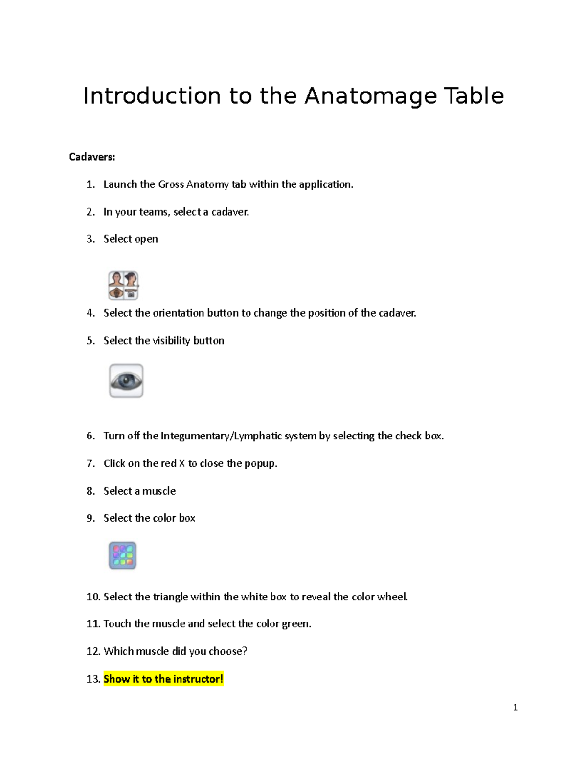 Week 1 Anatomage Table - assignments - Introduction to the Anatomage ...