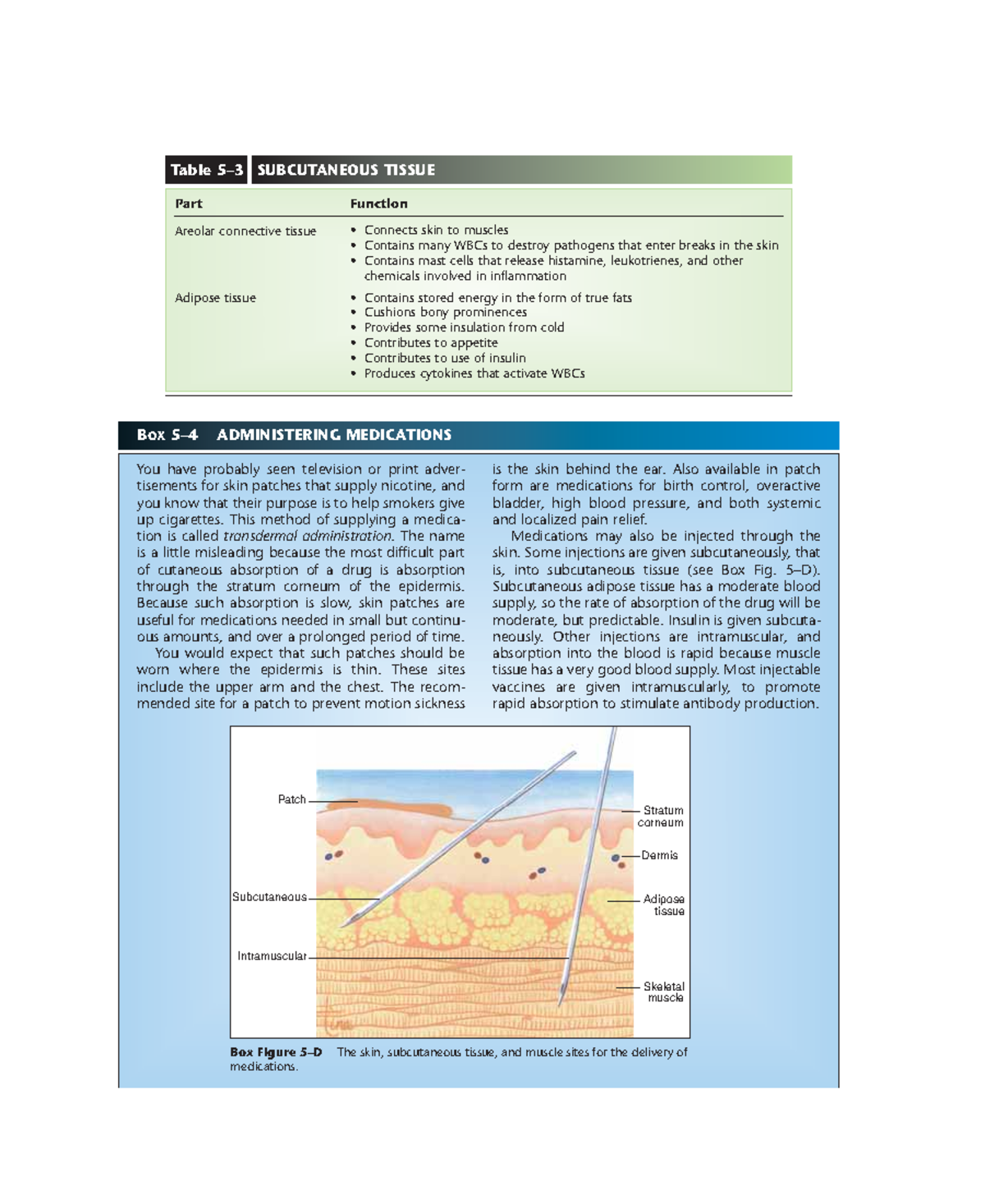 Biology - Health BODY 11 - Table 5–3 SUBCUTANEOUS TISSUE Part Function ...