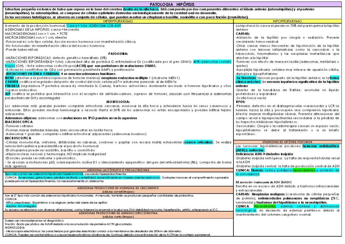 PATO II Endocrino- Hipofisis - PATOLOGIA HIPÓFISIS Estructura pequeña ...