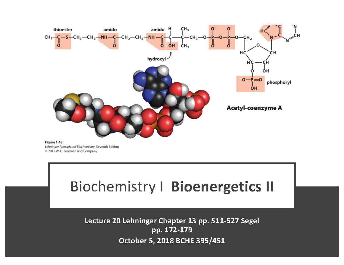 Bioenergetics II - Biochemistry I Bioenergetics II Lecture 20 Lehninger ...