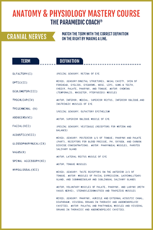 Paramedic Coach Heart-Anatomy WKST - THE HEART ANATOMY & PHYSIOLOGY ...