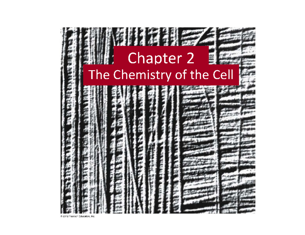 Chapter 2 - Slides to Upload to D2L - Chapter The Chemistry of the Cell ...