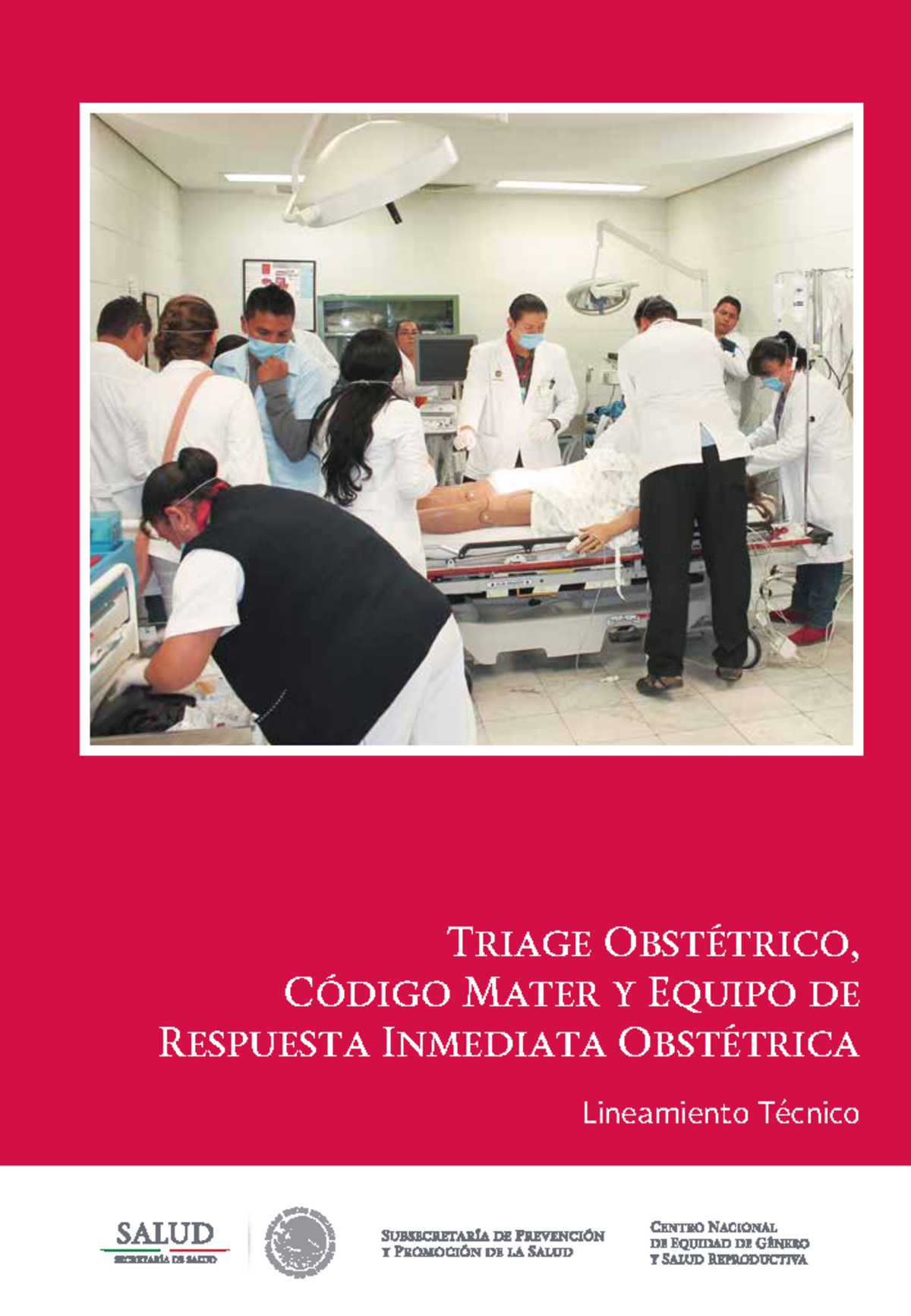 Triage obstetrico - Triage Obstétrico, Código Mater y Equipo de ...