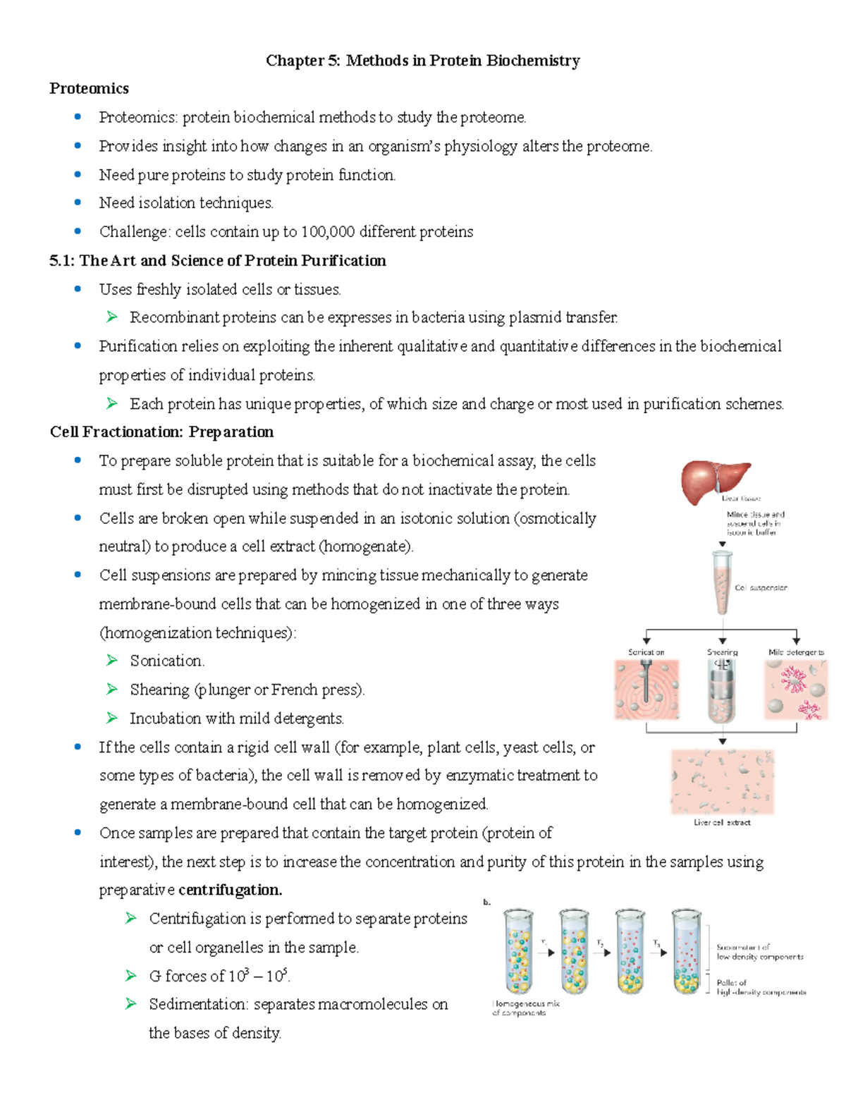 CH5 Summary - Chapter 5: Methods in Protein Biochemistry Proteomics Proteomics: protein - Studocu