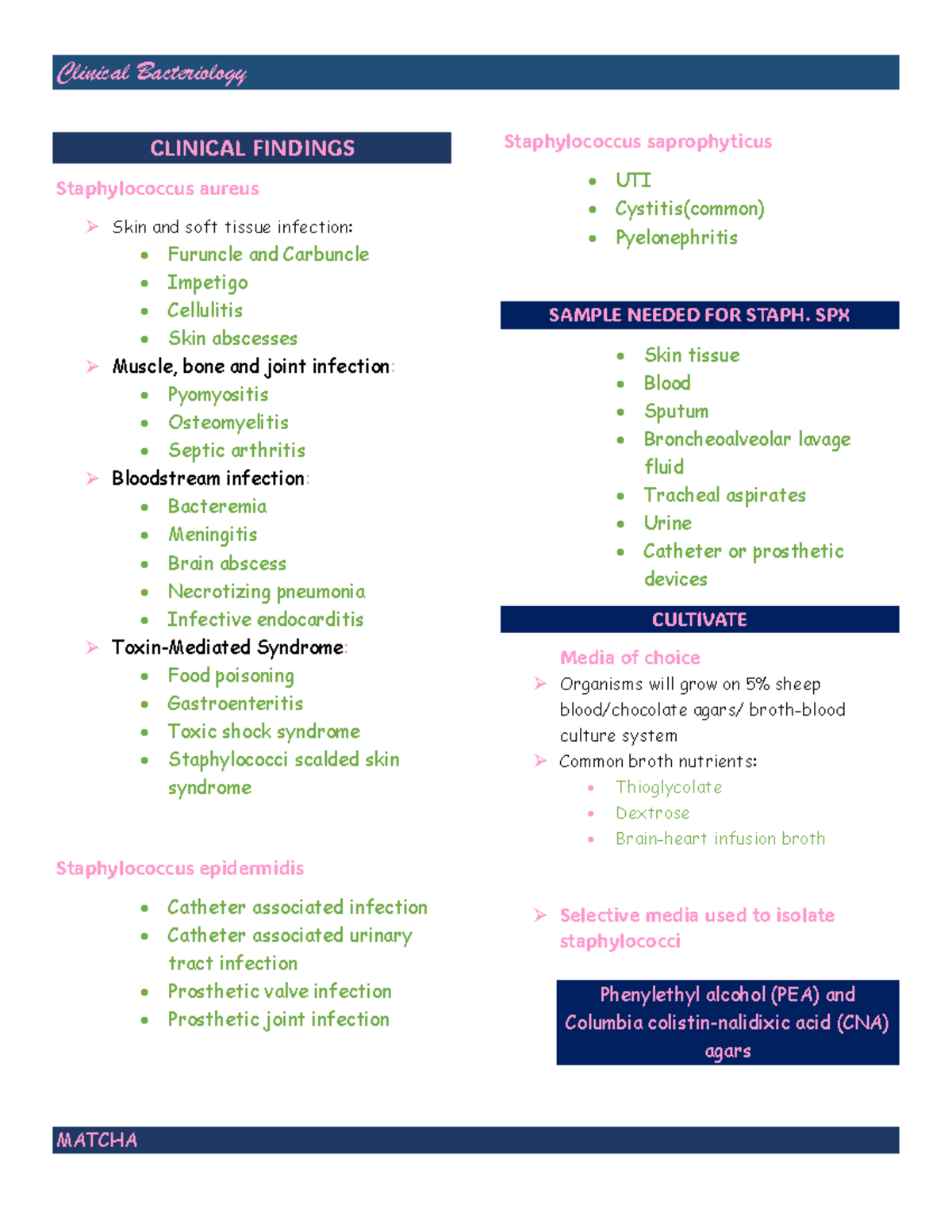 Clinical finding in staphy - Clinical Bacteriology MATCHA CLINICAL ...