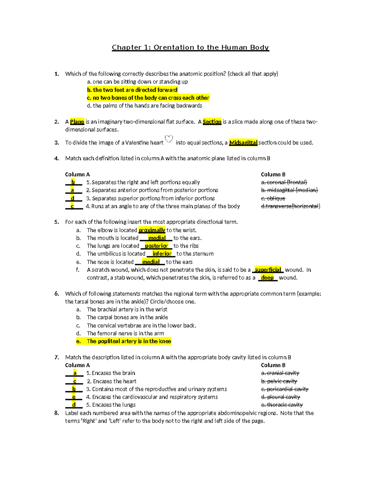 Chapter 1 Post Lab Assignment (Orientation to the Human Body) - Chapter ...