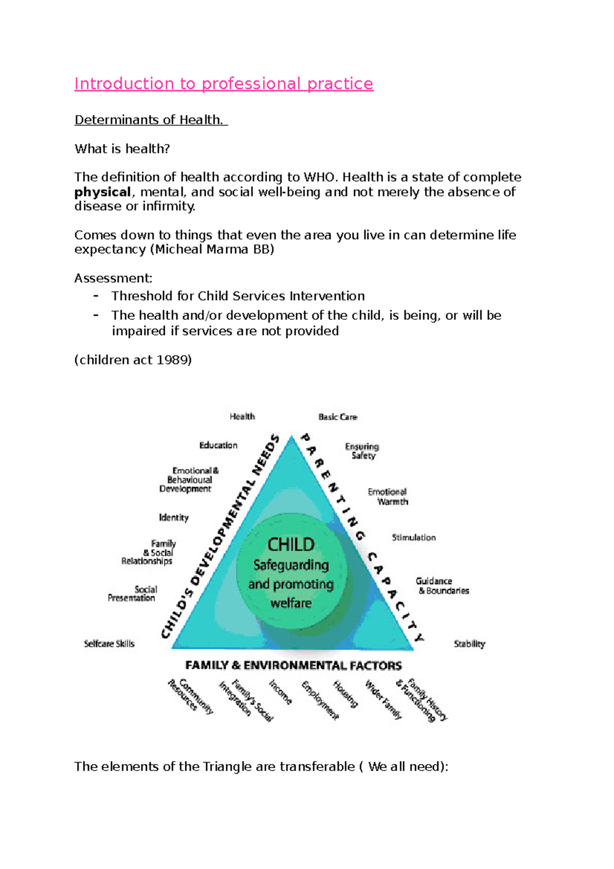 Introduction to professional practice - Introduction to professional ...