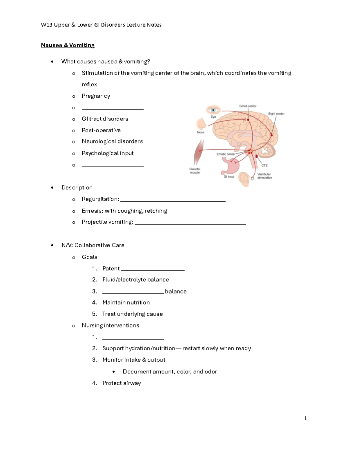 Upper and lower Gi disorders - Nausea & Vomiting What causes nausea ...