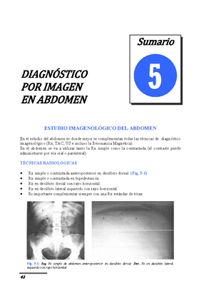 Apoyo Imagen RX Normal Torax - Universidad UTE Facultad Ciencias de la ...