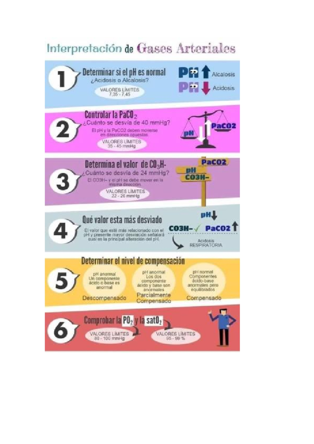 Gasometria - valores normales y alterados gases arteriales - Salud ...
