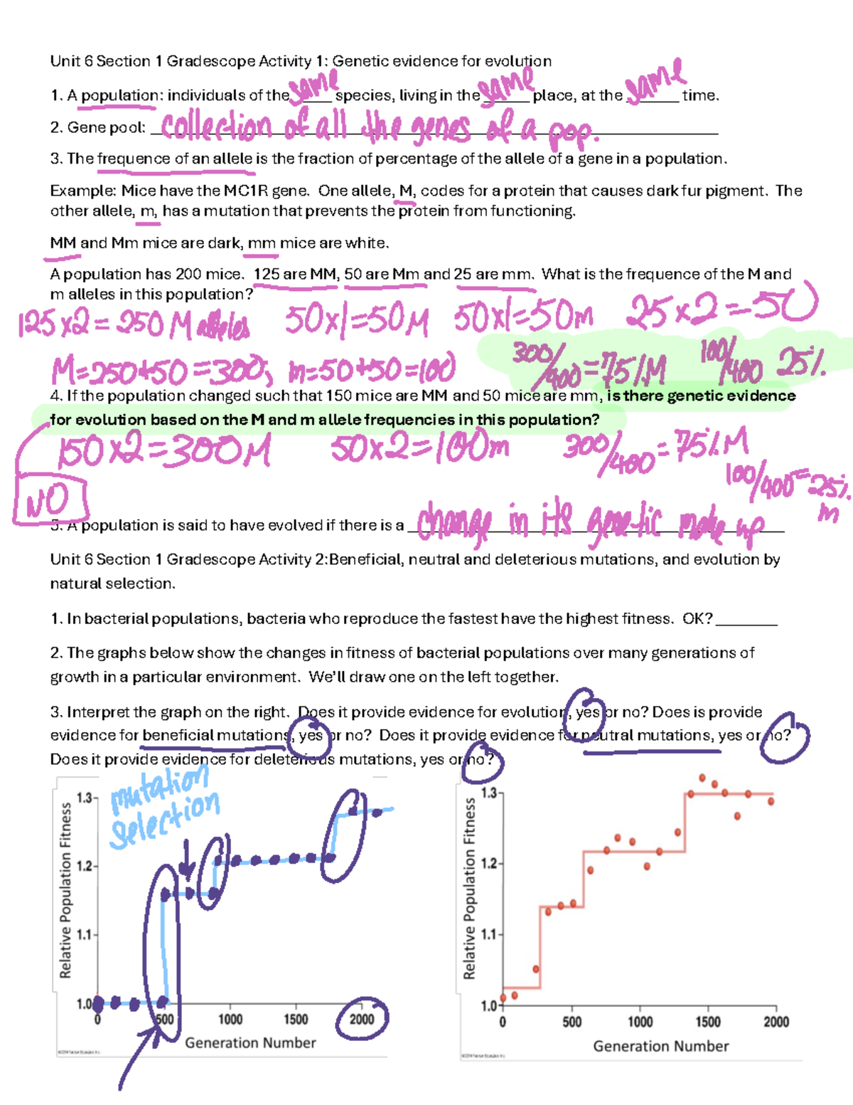 Unit 6 Section 1 And 2 Gradescope - Unit 6 Section 1 Gradescope ...