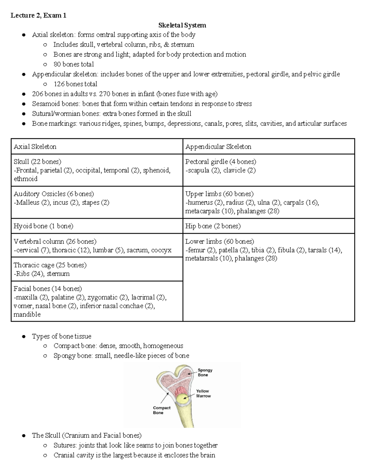 ANAT201 Lecture 2, Exam 1 - Lecture 2, Exam 1 Skeletal System Axial ...