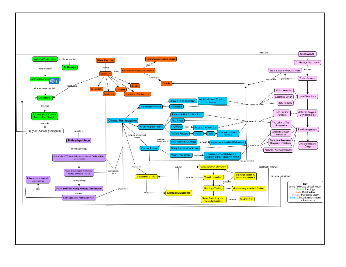 Herpes zoster for medical pathophysiology - MPAT12001 - CQU - Studocu