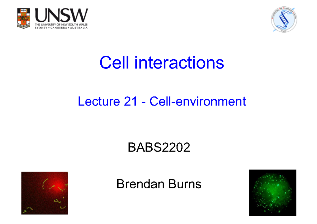 BABS2202 Lec 21 (2022) Week 09 Cell-enviroment interactions - Chemotaxis BB - Cell interactions ...