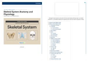 Muscular System Anatomy and Physiology - Nurseslabs - HOME » NOTES ...