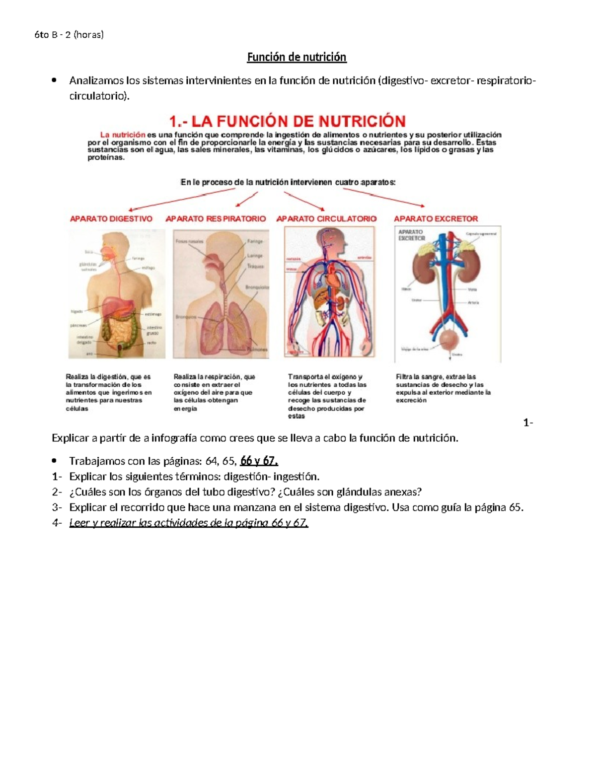 Funcion de nutricion actividades - 6to B - 2 (horas) Función de ...