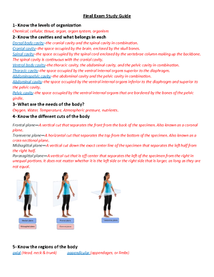 Anatomy&Physiology - Chapter 7 Concepts - Anatomy & Physiology – Ch. 7 ...
