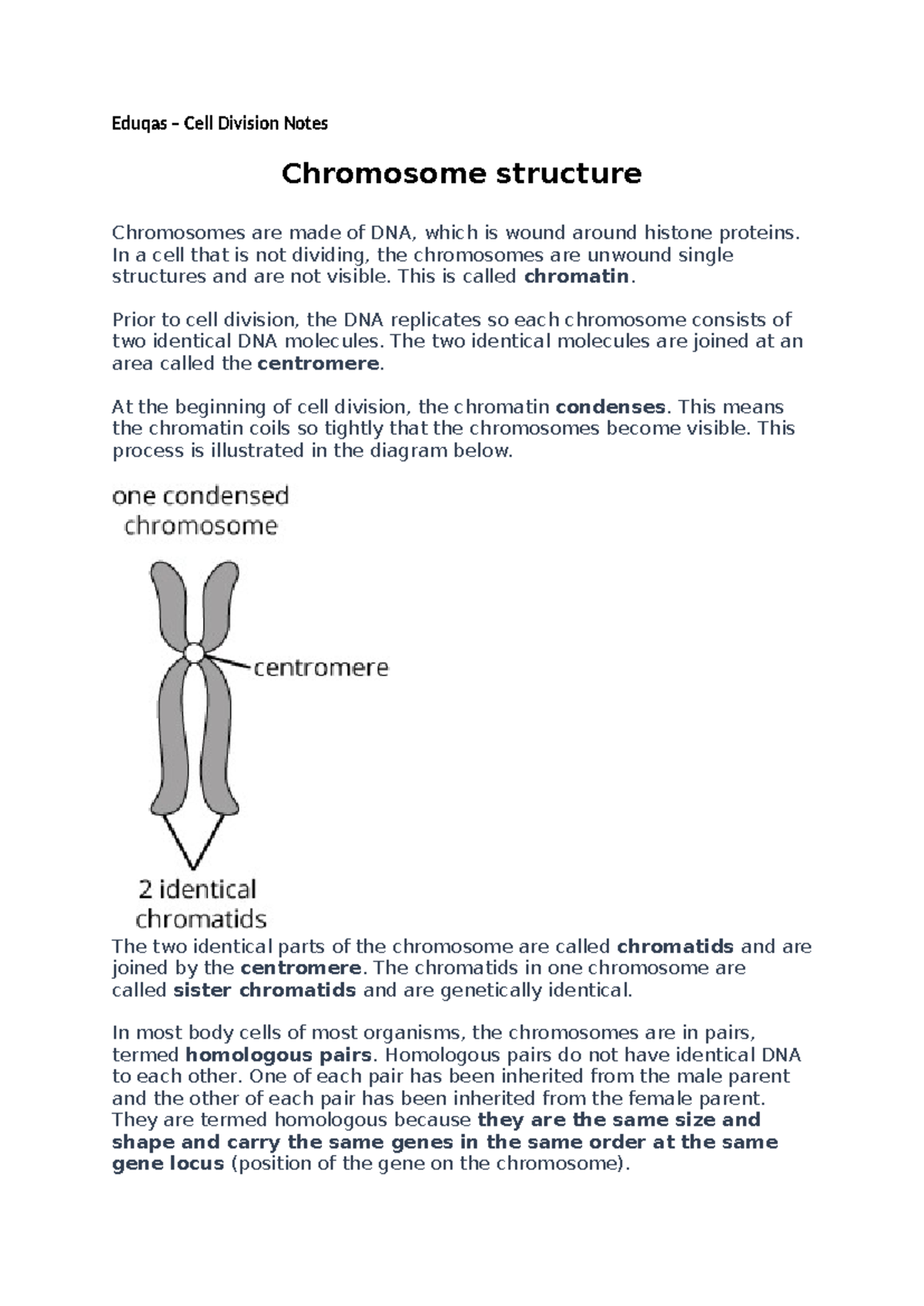 Cell Division Notes - Eduqas – Cell Division Notes Chromosome structure ...